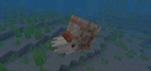 What Do Nautilus Shells Do In Minecraft All You Need To Know