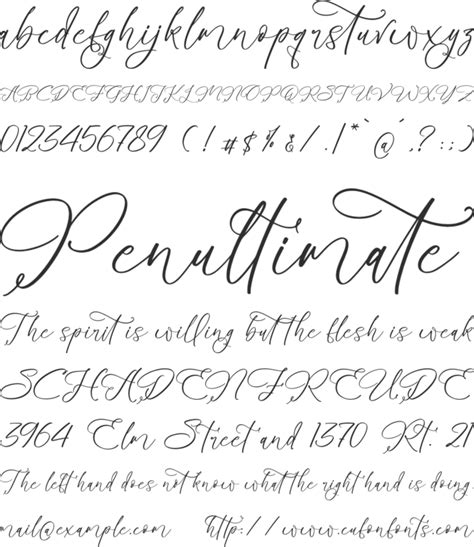 Benthany Amourty Font Download Free For Desktop And Webfont