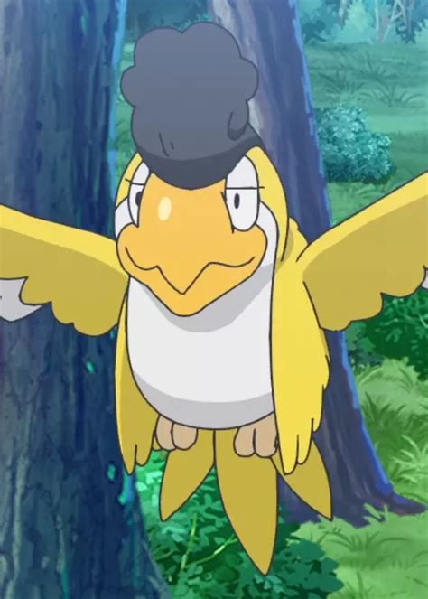 Squawkabilly Anime Planet