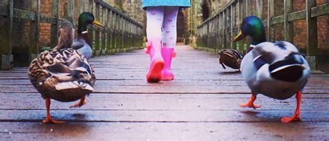 Sussex Autistic And Adhd Home Education Welcoming Everyone