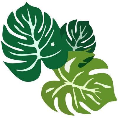 Leaf Pattern Vector Art Icons And Graphics For Free Download