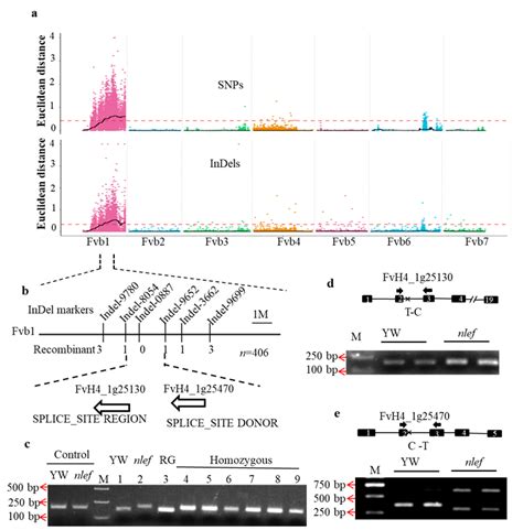 Location And Identification Of Candidate Genes A Euclidean Distance