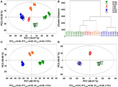 partial least squares discriminant analyses pls da pc1 pc2 score