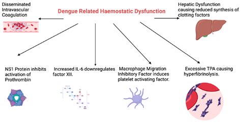 Example Assessment Of A Theoretical Dengue Diagnostic Using The