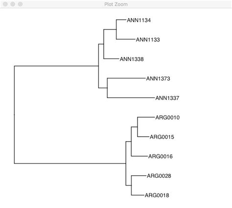 Topic 10 Phylogenetics