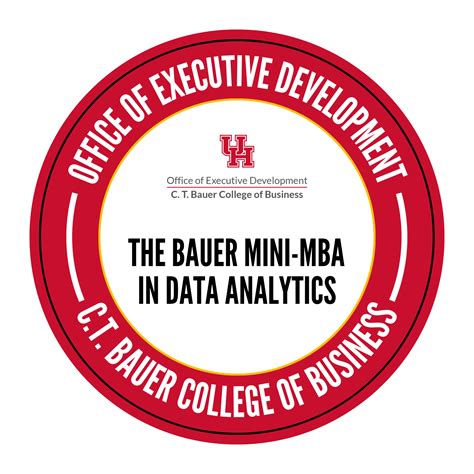 Mini Mba In Data Analytics Credly