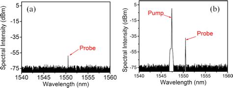 output spectra of probe and pump after polarizer when the pump signal
