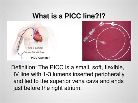 Ppt All About The Picc Powerpoint Presentation Free Download Id 5853051