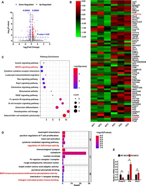 Analysis Of The Liver Transcriptome By Second Generation Sequencing