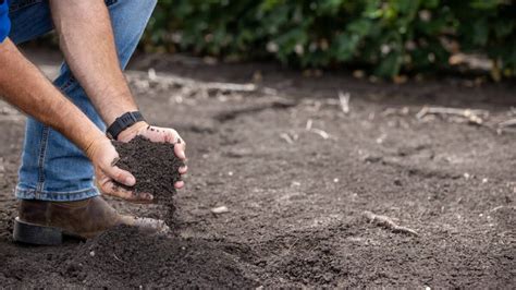 Middle Creek Premium Farm Auction On Queensland S Darling Downs Farm