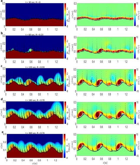 Snapshots Of Sediment Concentration Field Left Panels And Normalized Download Scientific