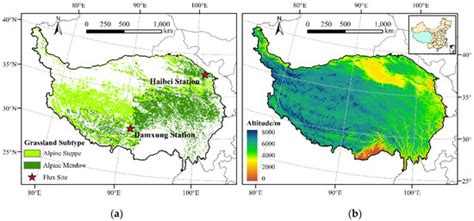 Remote Sensing Special Issue Terrestrial Carbon Cycle