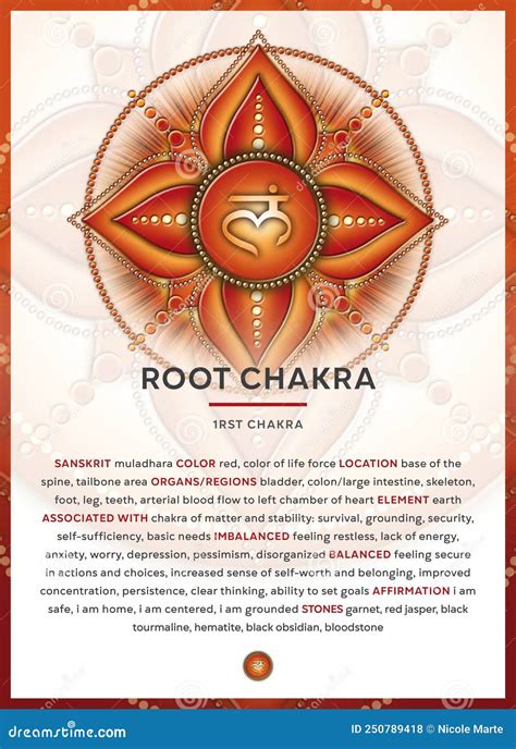 Root Chakra Muladhara Chakra Symbol Infographic With Detailed