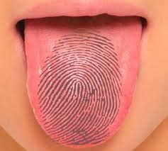 Fast Facts On X Tongue Health Human Tongue Tongue