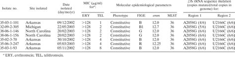 Phenotypic And Genotypic Data For The Seven Strains Of Streptococcus Download Table