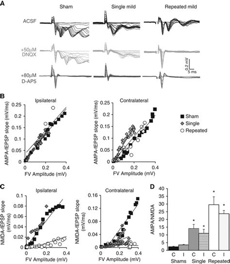 Nmdar Mediated Synaptic Responses In Sc Ca1 Recordings From Stratum Download Scientific