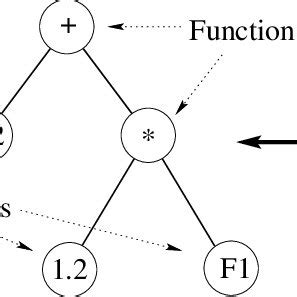 An Example Genetic Program And Its LISP S Expression Download Scientific Diagram