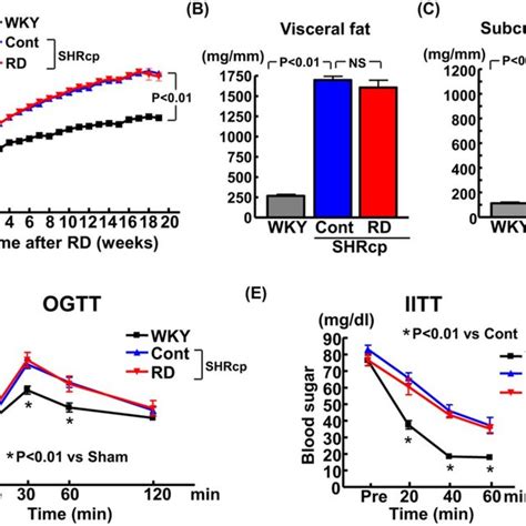Effects Of Renal Denervation On 24‐hour Urinary Sodium Excretion A