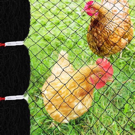 Zl 50x50ft Anti Bird Netting For Garden Heavy Duty Bird Netting With 2 4 Square