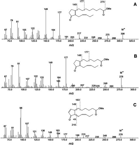 Fig 2 In Lipoxygenase Pathway In Model Bryophytes 12 Oxo 9 13 15