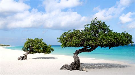 Aruba Desktop Wallpapers Top Free Aruba Desktop Backgrounds