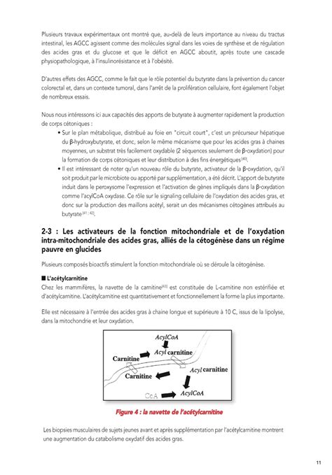 短链和中链脂肪酸与酮症 I E P P 欧洲临床生理营养学会