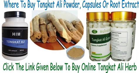 Your Trusted Source For Technology Insights Health Tips And Smart