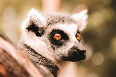 golang — my learning choice in 2024 by victor macedo medium