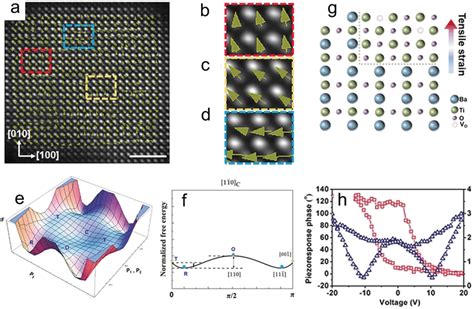 A Haadf‐stem Image With An Overlay Of Local Spontaneous Polarization