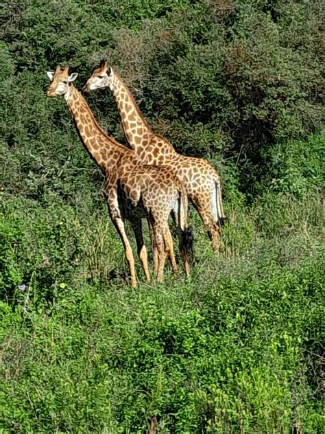 Annelize Mcmillan Added A New Photo Annelize Mcmillan