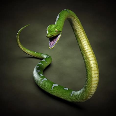 Premium Photo Python Closeup 3d Illustration