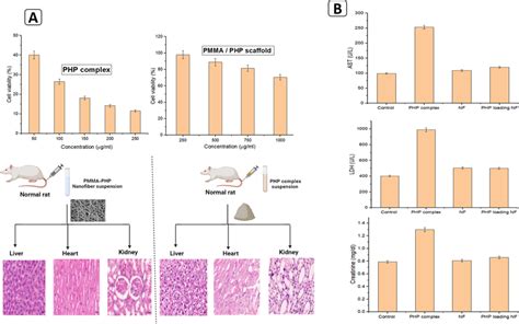 Cytotoxicity Assessment Investigation For The Php Complex And The