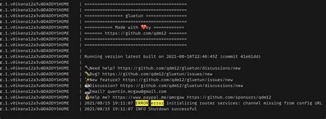 Gluetun Published In Place Of Ddns Updater Issue Qdm Ddns Updater GitHub