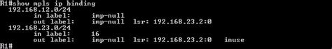 Enarsi Training Basic Mpls Tutorial
