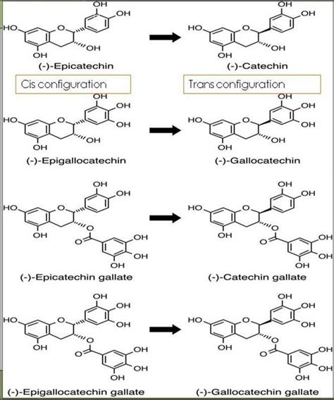 Figure1 Chemical Structures Of Various Catechins Download Scientific