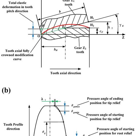 Tooth Modification Model A Tooth Axial Fully Crowned Modification Download Scientific