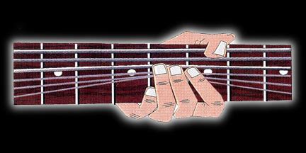 WELCOME TO THE OFFICIAL WEBSITE OF THE STRINGBENDERS About The Band