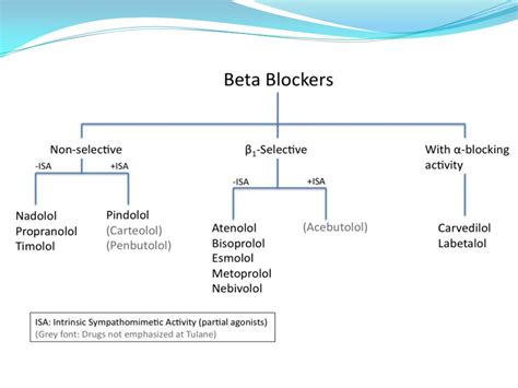 Types Of Blockers And Their Functions In An Organization