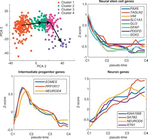 Scell Integrated Analysis Of Single Cell Rna Seq Data Rna Seq Blog
