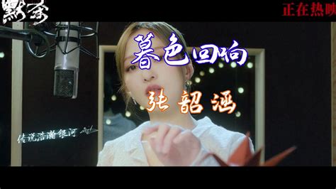 张韶涵《暮色回响》高清ktv视频！电影《默杀》推广曲mv 无损音乐网 无损音乐网 哔哩哔哩视频