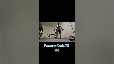 Forearm Curls Youtube
