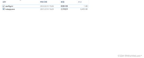 Springboot Vue Websocket Natapp 实现 支付宝支付—沙箱环境natapp Websocket Csdn博客