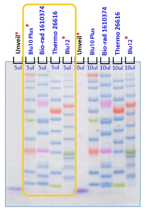 Bio Helix