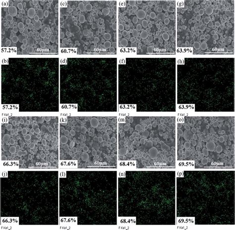 Sem Images And Eds Mapping Fluorine From Pvdf Of Electrode Sheets