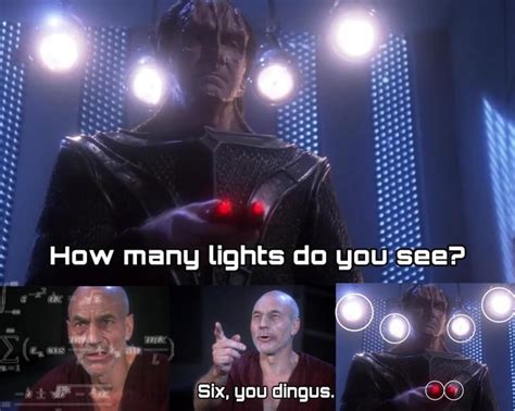 How Many Lights Do You See Six You Dingus Americas Best Pics And Videos