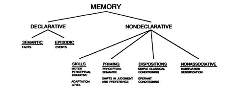 9 A Memory Taxonomy Declarative Memory Includes Memory For Facts And