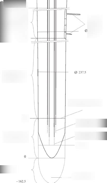 Longitudinal Section Of Root Tip Botany Lab 5 Diagram Quizlet