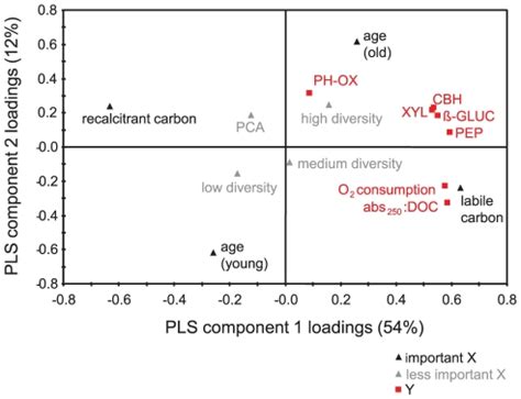 The Plot Depicts The Correlation Structure Between X And Y And Can Be Download Scientific
