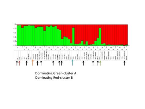 Bayesian Model Based Genetic Clustering Of 50 Chickpea Germplasms