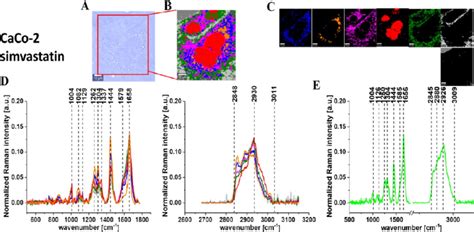 Microscopy Image A And Raman Image B Constructed Based On The Download Scientific Diagram